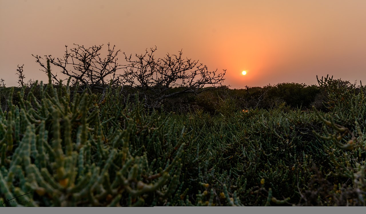 Pearl diving, markets and ancient temples: Eight hidden gems to explore ...